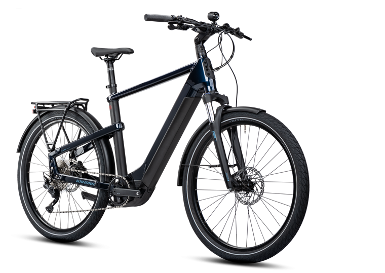 "WINORA YAKUN 10 Herren E-Bike - 55 cm | Hochwertiges Elektrofahrrad von Winora für ...